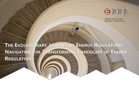 The Evolutionary Journey of Energy Regulators: Navigating the ...